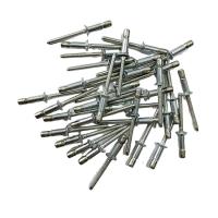 China Durable and Iron Countersunk Head 4.8mm Anlock Type Blind Rivets for Automotive Industry for sale