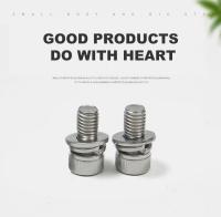 China 100% Inspected M5 M6 M8 Stainless Steel Allen Head Cap Screw Assembled With Washer Assortment for sale