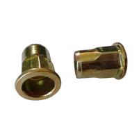 China General Industry Semi-Hex Open Rivet Nut with Yellow Zinc Plating in Metric Measurement for sale