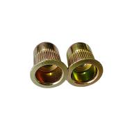 China Open Type M4-M5-M6-M8-M10 Corrosion Resistant Yellow Zinc Plated Carbon Steel Rivet Nut for sale