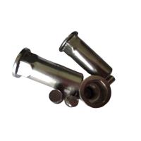 China Stainless Steel Flat Head Semi-Hex Closed End Rivet Nut for Automotive Cadmium Plated for sale