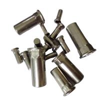 China Stainless Steel Flat Head Semi-Hex Closed End Rivet Nut for Automotive Cadmium Plated for sale