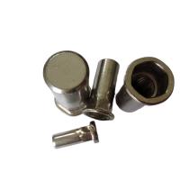 China Economical Flat Head Semi-Hex Blind Rivet Nut for Thin Sheets in Yellow Hot Item for sale