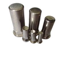 China Simple and Fast Installation Semi-Hex Closed End Rivet Nut in Black Stainless Steel for sale