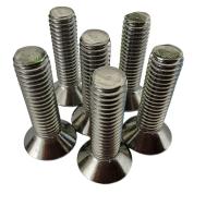 China Standard Other Customized M3 M4 M5 M6 Stainless Steel Countersunk Head Security Screw for sale
