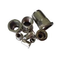 China Healthcare Economical Flat Head Semi-Hex Blind Rivet Nut for Thin Sheets OEM Yes for sale