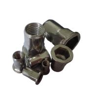 China Professional Semi-Hex Blind Rivet Nut for Heavy-Duty Applications for sale