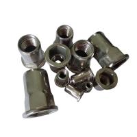 China Flat Head Semi-Hex Blind Rivet Nut for Automotive OEM in Healthcare Applications for sale