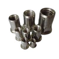 China Flat Head Semi-Hex Blind Rivet Nut for Automotive OEM in Healthcare Applications for sale