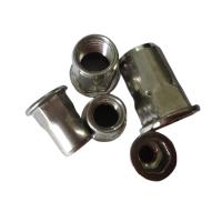 China Flat Head Semi-Hex Blind Rivet Nut for Automotive OEM in Healthcare Applications for sale