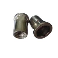 China Essential Metric Flat Head Semi-Hex Blind Threaded Rivet Nut for Home Appliances for sale
