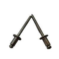 China 10mm Round Head Stainless Steel Standard Rivets with Affordable and High Strength for sale