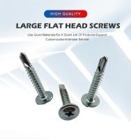 China ZINC Finish Stainless Steel Screw with Self-drilling Dovetail Head Style and Good for sale