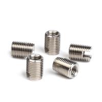 China Stainless Steel 304L 316L Type 302 Metric Thin Wall Slotted Self Tapping Threaded Insert for sale