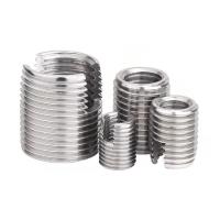 China 316L M2 M3 M4 M5 M6 M8 M10 Helical Repair Slotted Stainless Steel Brass Self Tapping Threaded Insert Nut for sale