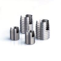 China 316L M2 M3 M4 M5 M6 M8 M10 Helical Repair Slotted Stainless Steel Brass Self Tapping Threaded Insert Nut for sale