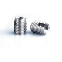 China 316L M2 M3 M4 M5 M6 M8 M10 Helical Repair Slotted Stainless Steel Brass Self Tapping Threaded Insert Nut for sale