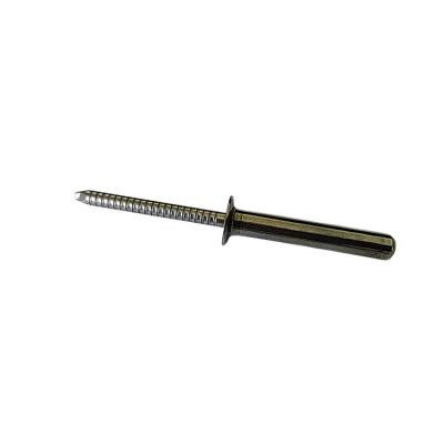 China Waterproof Blind Rivet for 6-25mm Length Corrosion Resistant Stainless Steel Rivet for sale