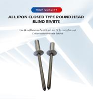 China Sealed End All-Iron Closed End Round Head Blind Rivet for Competitive Cost for sale