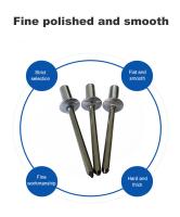 China Sealed End All-Iron Closed End Round Head Blind Rivet for Competitive Cost for sale