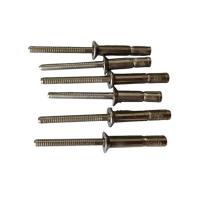 China Waterproof Structural Anlock Type Rivet with Head Mono Bolt in Stainless Steel 304 for sale