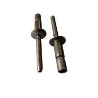 China Stainless Steel Blind Rivet Dome Head Pop Rivet with Bright Finish Custom Rivets for sale