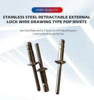 China DIN Standard Anlock Type Blind Rivets for OEM ODM Round Head Semi-Tubular Rivet Steel for sale