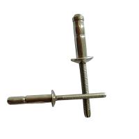 China Mono-bolt Rivet for Finish Bright Uncoated High Strength Dome Head Stainless Steel Rivet for sale