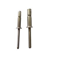 China Stainless Steel Drawn Core Rivet with Internal Lock and Bright Finish DIN Standard for sale