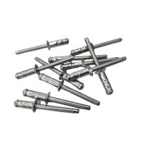 China Stainless Steel Structural Rivet Blind Rivet Dome Head Flat Head with Uncoated Finish for sale