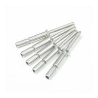 China Silvery Stainless Steel 304 Mono-bolt Interlock Structural Blind Rivets for Versatile for sale
