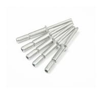 China Heavy-Duty Applications 2024 Stainless Steel Open Blind Rivets with Plain Finish for sale