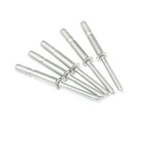 China Plain Finish Stainless Steel Flat Head Long Blind Rivets for Fast Selling Furniture for sale