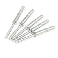 China Flat Head High Strength Stainless Steel Rivets for Waterproof Dome Head Blind Riveting for sale