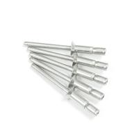 China Custom Stainless Steel Rivets with Plain Finish from Chinese Manufacturers for sale