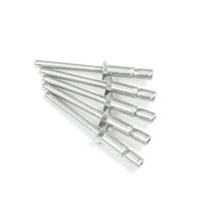 China Custom Stainless Steel Rivets with Plain Finish from Chinese Manufacturers for sale