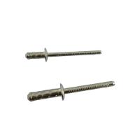 China Stainless Steel Mushroom Head Multi Grip Blind Rivet Single 4mm for Car Aircraft for sale