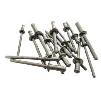 China Stainless Steel Blind Rivets Standard GB DIN 3.2mm 4.0mm 4.8mm 6.4mm Steel Mandrel for sale