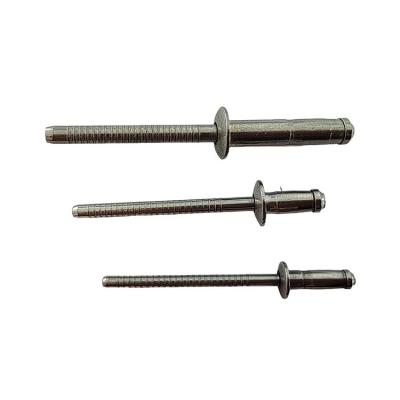 China GB Standard Mushroom Head Break Mandrel Blind Rivets 3.2mm 4.0mm 4.8mm 6.4mm Pure Stainless Steel 304/316 for sale
