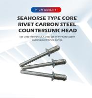 China Stainless Steel Galvanize Blind Rivets Made of Carbon Steel for Superior Strength for sale