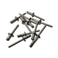 China Stainless Steel Blind Plastic Multigrip Rivets Bright Finish Control Range Inspection for sale
