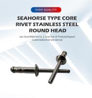 China Stainless Steel 304/316 Blind Rivet 4.8mm 6.4mm 7.8mm for Heavy Duty and Applications for sale