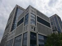 China High Intensity Prefabricated Steel Structure Buildings Multi Storey Commercial for sale
