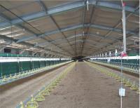 China Astm A36 Galvanized Steel Structure Galvanised Steel H Beam Columns Poultry Farm Roof for sale