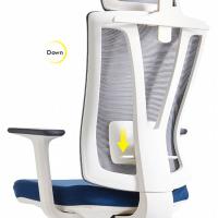 China High Back Adjustable Mesh Office Chair with 360° Rotation and Adjustable Headrest for sale