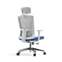 China High Back Staff Task Computer Desk Chair Polyurethane Mesh Seat Office Chair for sale