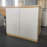 China Wood Office File Storage Furniture Durable Cupboard 2 Door Cabinet for sale