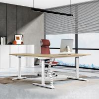 China Modern Electric Height Adjustable Desk Ergonomic Executive Standing Desk for sale