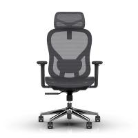 China Wholesale Price Ergonomic Office Chair Mesh Comfortable Office Chair With 2D Adjustable Headrest for sale