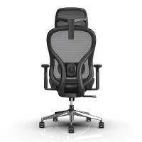 China Wholesale Price Ergonomic Office Chair Mesh Comfortable Office Chair With 2D Adjustable Headrest for sale